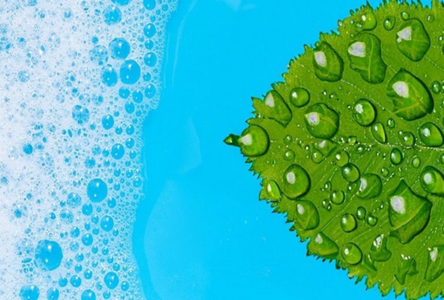 Featured Products | Elementis Global