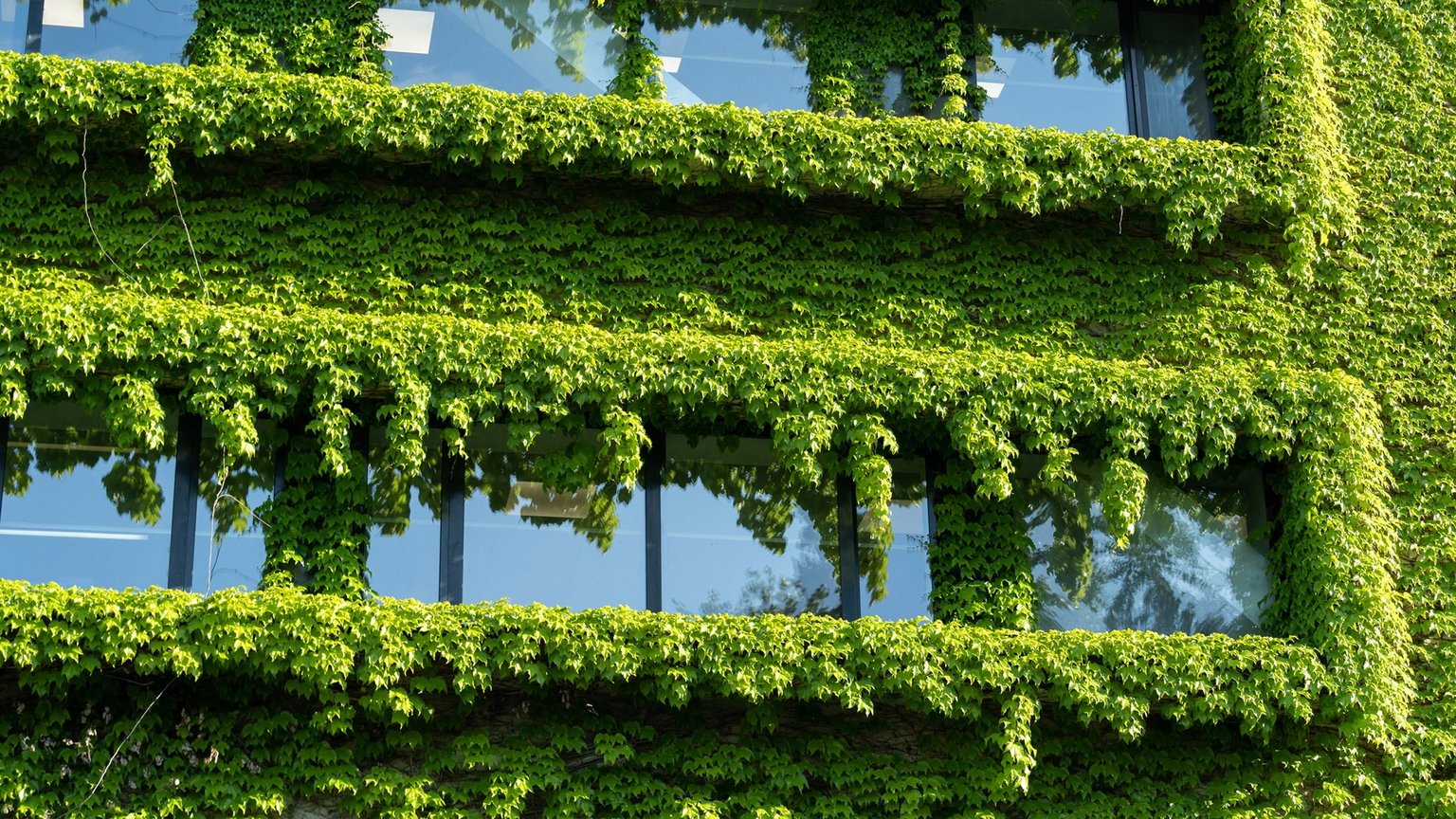 Adding sustainability | Elementis Global