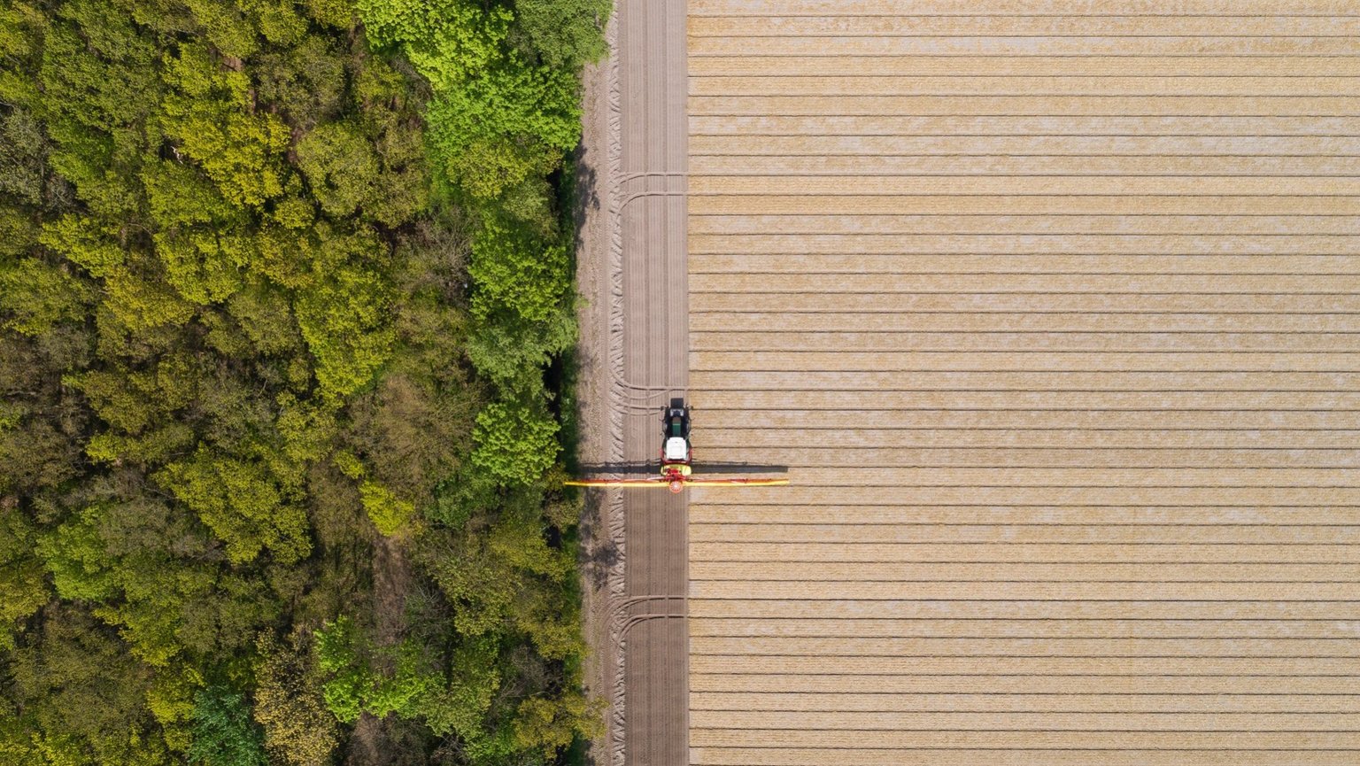 About Elementis | Elementis Global