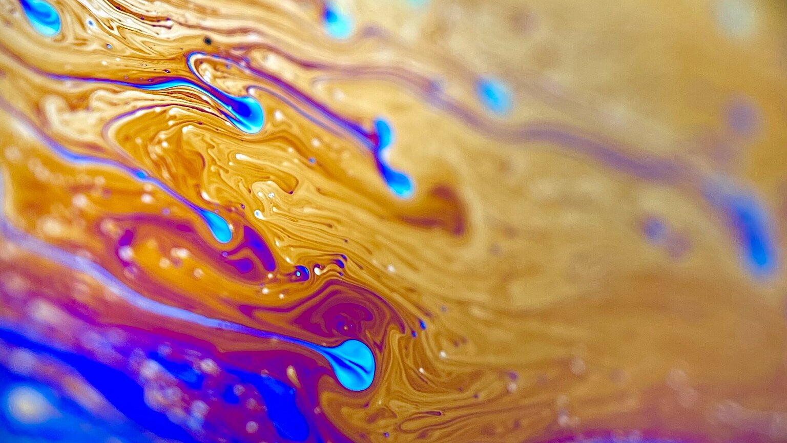 Examples | Elementis Global