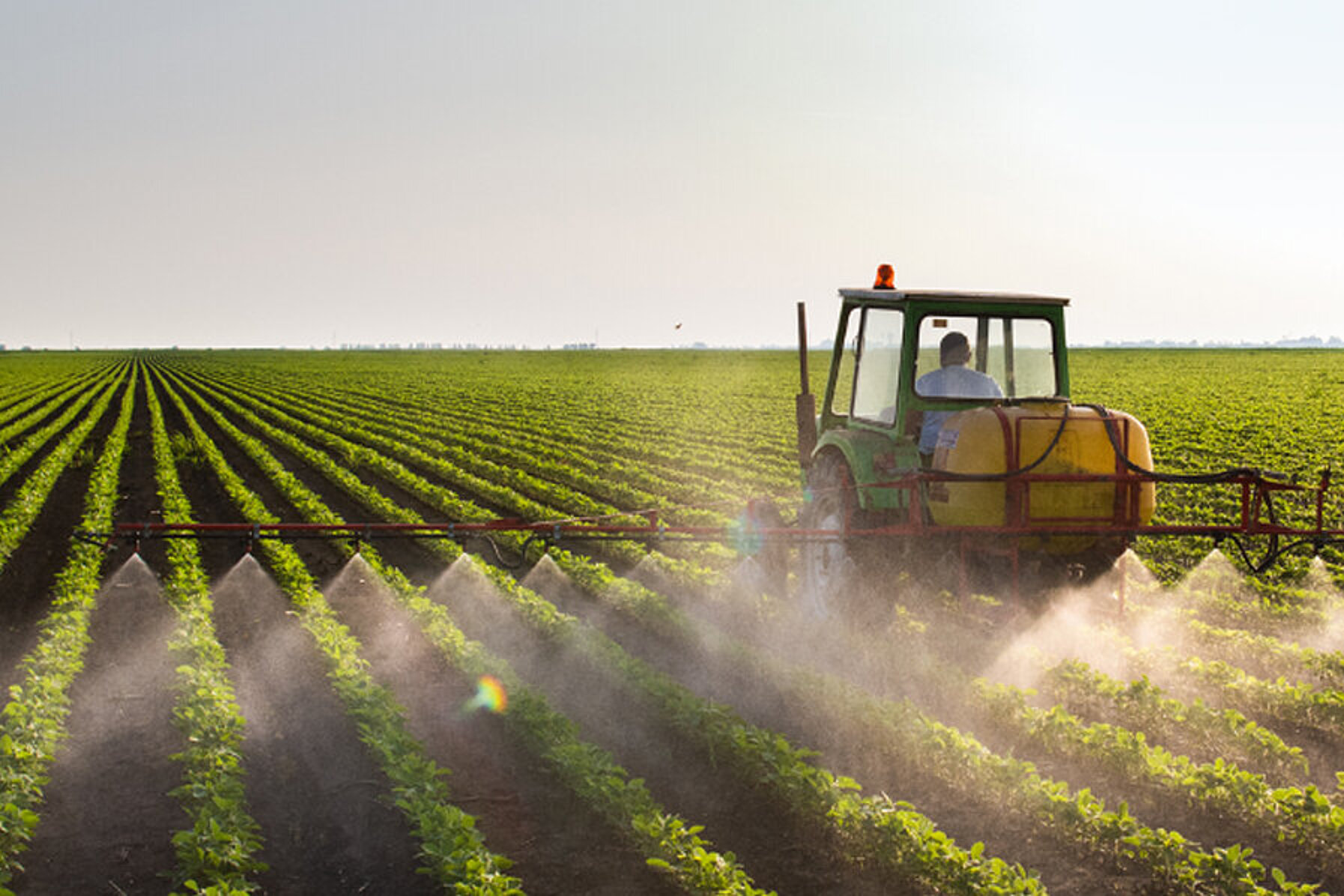 Personal Care | Elementis Global