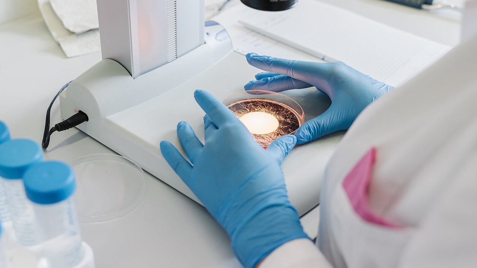 About Elementis | Elementis Global