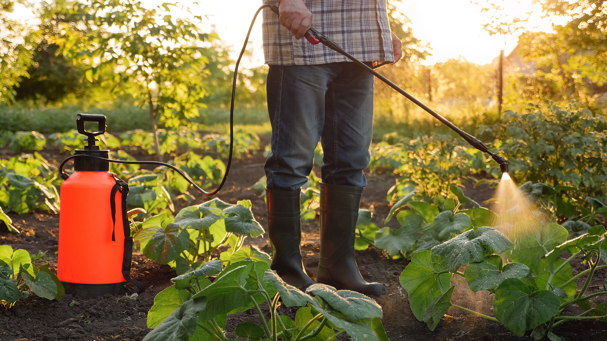 Agriculture | Elementis Global